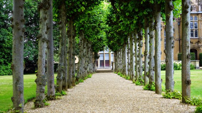 5 Ways To Improve Landscape Architecture