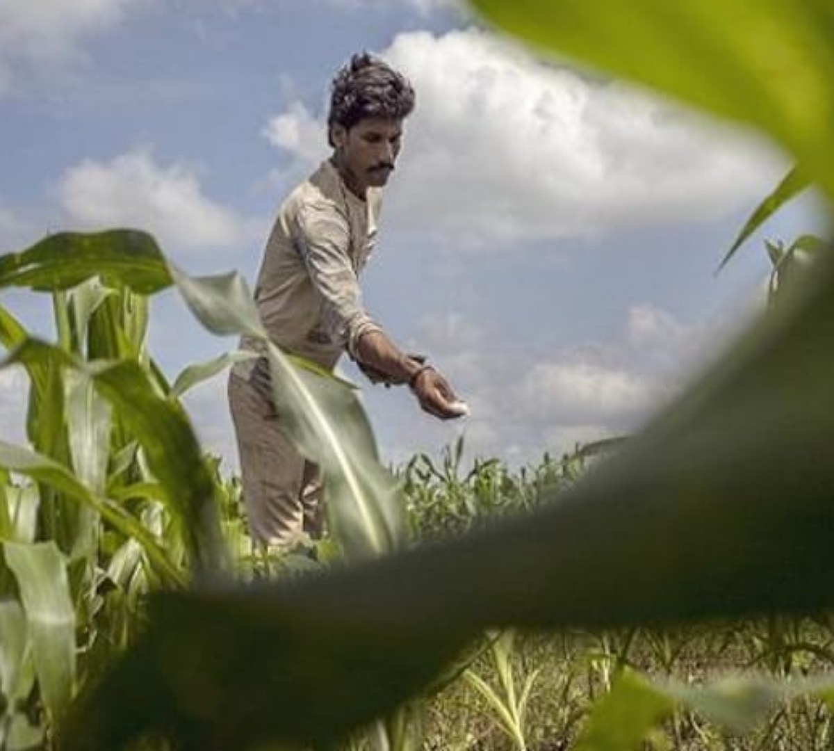 PM-PRANAM scheme gets CCEA approval to boost alternative fertilizers