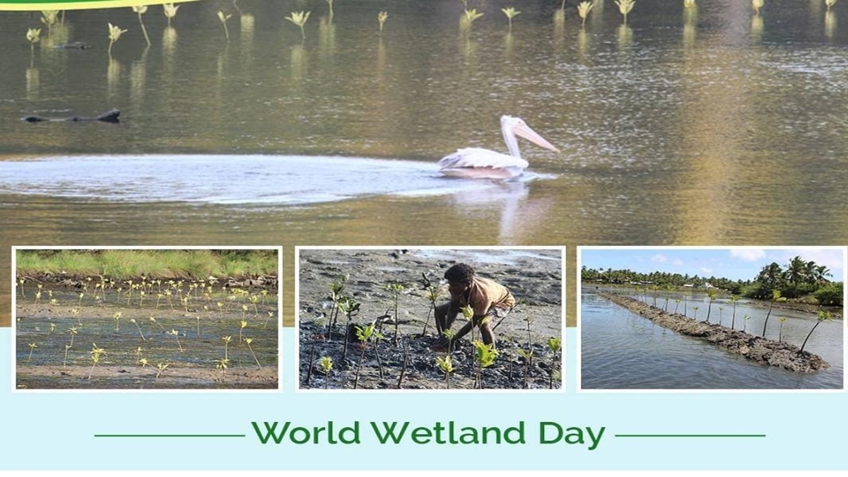 World Wetlands Day 2024 - Learn how tree plantation can protect wetland biodiversity