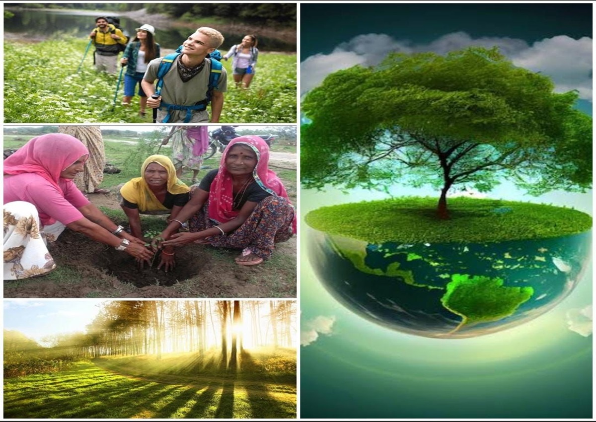 On National Tourism Day, discover how tree plantation boosts green tourism
