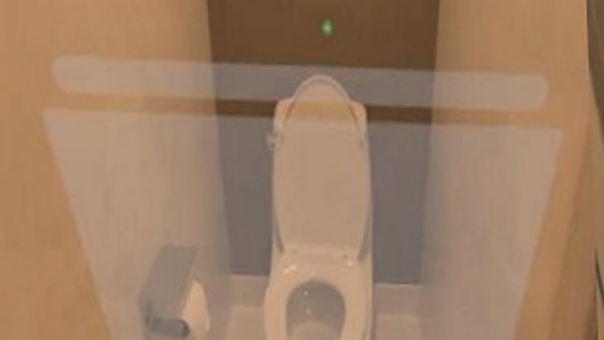 Internet's Reaction to the Best Toilet Gadget Viral Video