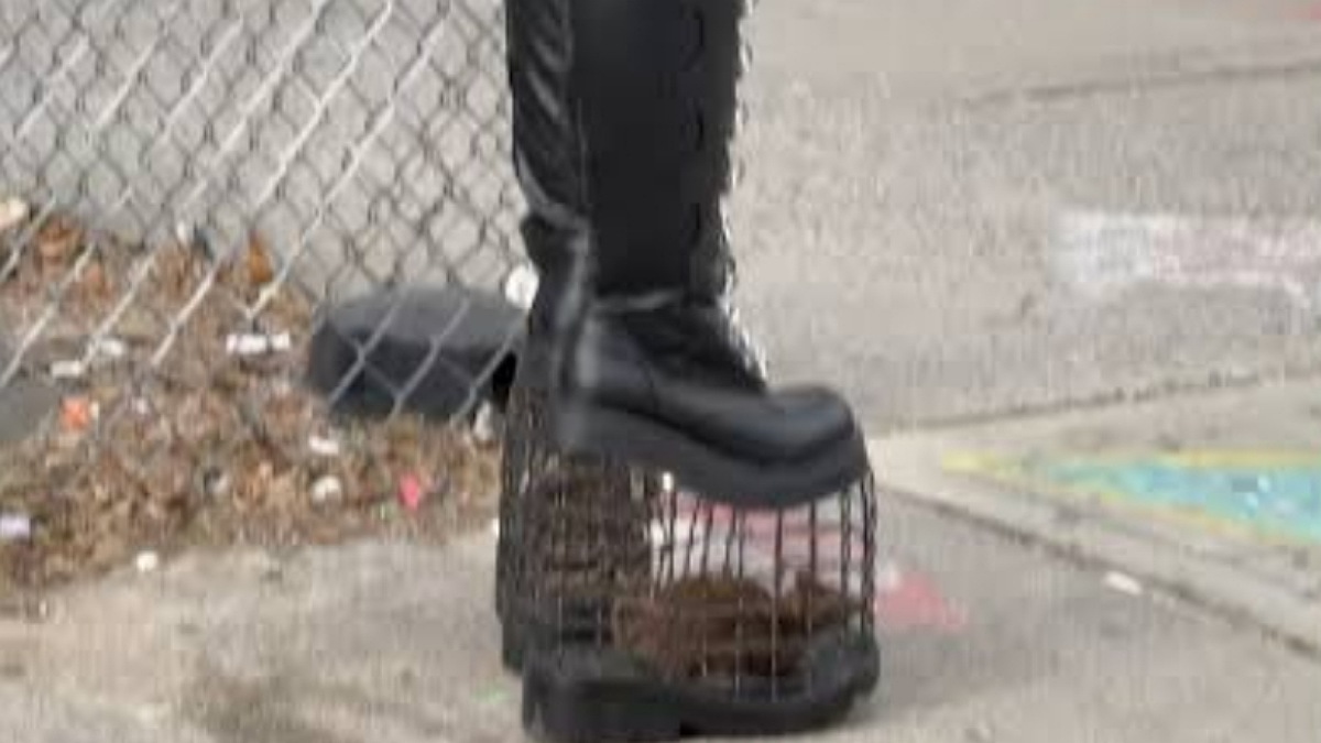 Rat-Cage Heels: The Viral Craze Taking the Internet by Storm with 107 ...