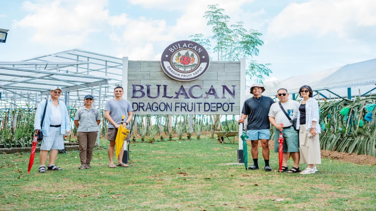 Bulacan Dragon Fruit Depot: Pioneering Sustainable Agriculture in the ...